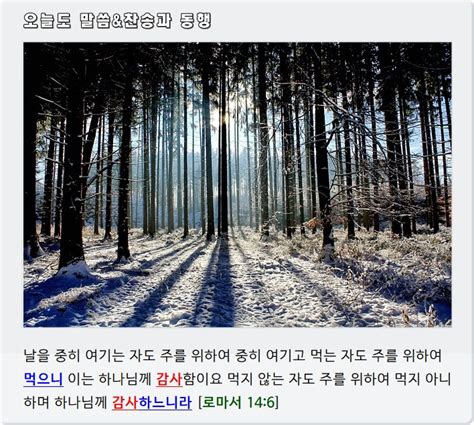 선한부자의 항해 충신매일성경 1480