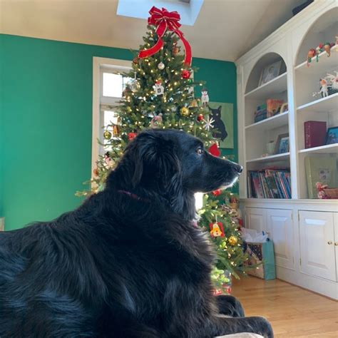 Agikgqpzi67qeljm6i5qmcjklo4lq8lh79ii5prcyo1 Ew S900 C K C0x00ffffff No Rj