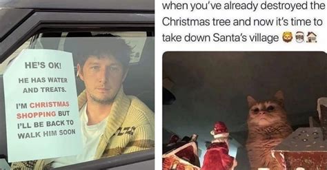 Yule Love These 15 Spirited Christmas Memes Infused With Good Cheer