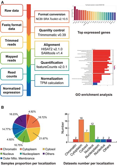 Summary Of The RNA Seq Datasets A The Workflow Of RNA Seq Datasets