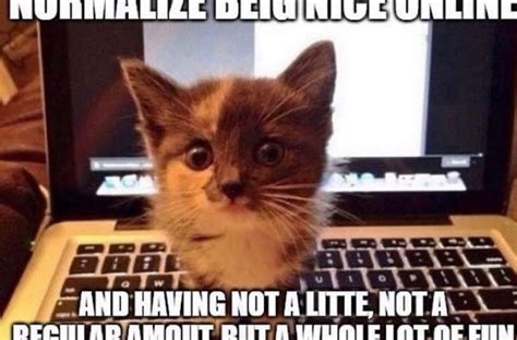 Create Meme Seals Cat Pictures Meme