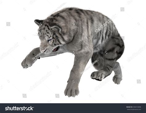 3d Rendering White Tiger Jumping Isolated Stock Illustration 596010098