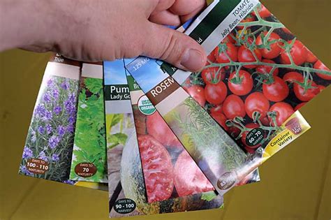 Free Flower Seeds Samples Best Flower Site