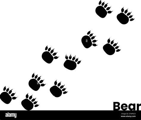Vector Flat Black Foot Prints Of Grizzly Bear Steps Isolated On White