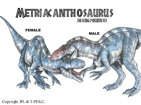 Image Metriacanthosaurus Jpl Live The Legend Wiki Fandom