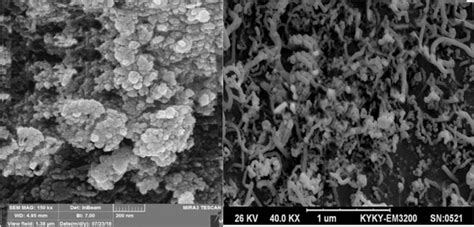 left sem image of fe3o4 tio2 right sem image of fe3o4 tio2 mwcnt