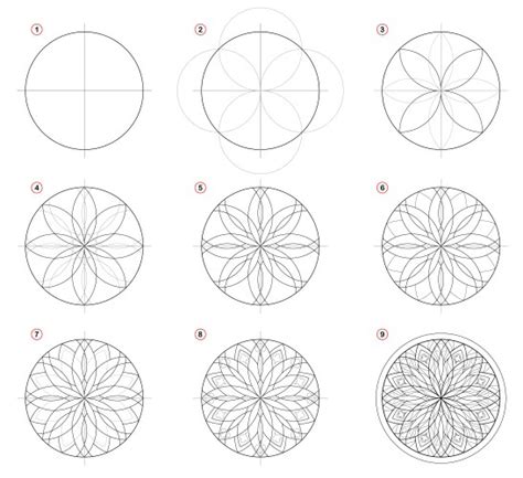Creation Step Pencil Drawing Page Shows Royalty Free Vector