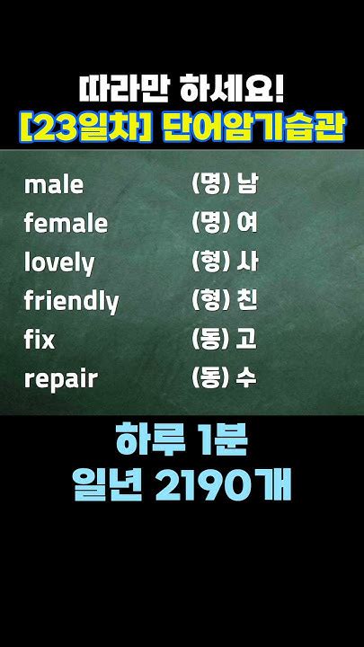 23일차 따라만 하세요 저절로 암기됩니다 단어암기법 영어회화 필수영단어 Youtube