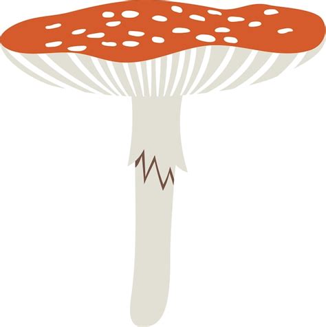 Premium Vector Fly Agaric Mushroom
