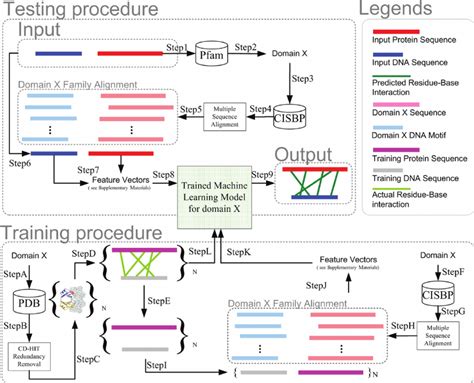 Training And Testing Classification Models For Predicting Download Scientific Diagram