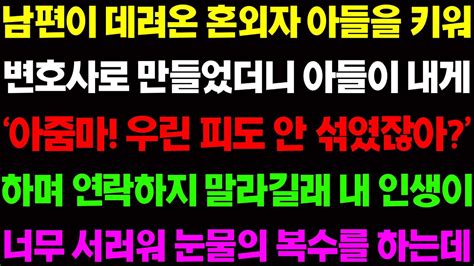 실화사연 남편이 데려온 혼외자 아들을 키워 변호사 만들었더니 아줌마 우린 피도 안 섞였잖아 하며 연을 끊자고 하는데 사이다 사연 감동사연 톡톡사연