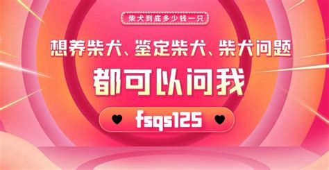 柴犬价格大比拼黑柴犬多少钱一只柴犬幼犬价格大盘点 搜狐大视野 搜狐新闻