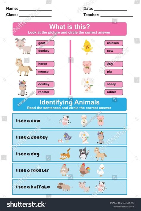 Finding Circle Correct Answer Activity Sheet Stock Vector Royalty Free 2193585273 Shutterstock