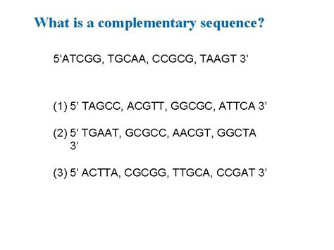 Dna Structure Dna Is Composed Of Polynucleotide Chains