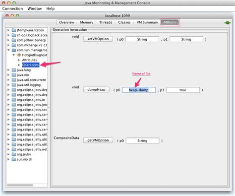 debugging memory related errors on a jetty web server
