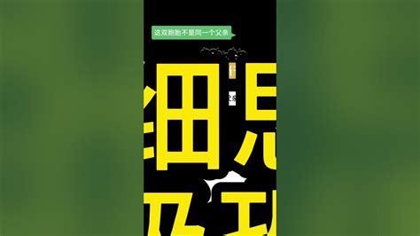 亲子鉴定师告诉你不要再相信爱情，要相信证据男人才是真正的弱势群体人物故事 涨知识啦 亲子鉴定师手记 Youtube