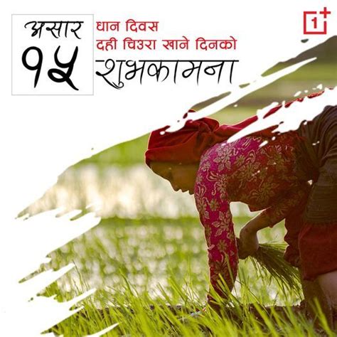 Krishna Pariyar On Linkedin राष्ट्रिय धान दिवस तथा दही चिउरा खाने