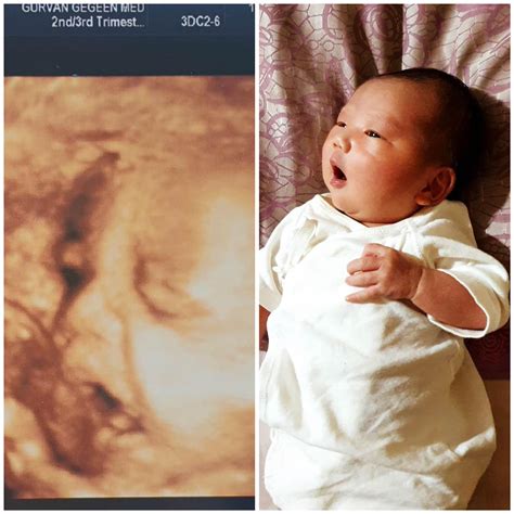 Ийм хөөрхөн он оны зураг явуулсан ГУРВАН ГЭГЭЭН МЕД