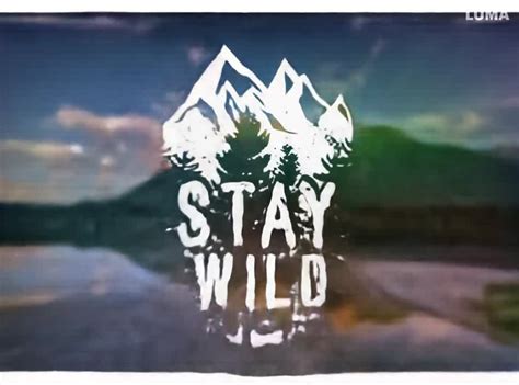 Guy Zilberblum On Linkedin Some Cool Video That I Created With Lumalabsai Ai Is Amaszing Im