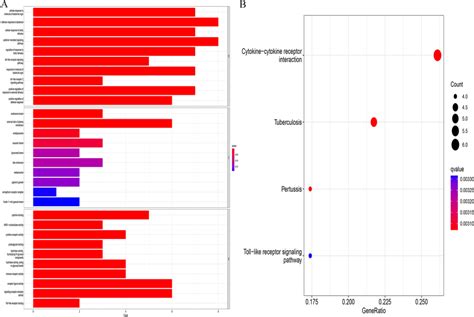 The Functional Enrichment Analysis Among Candidate Genes A GO Terms