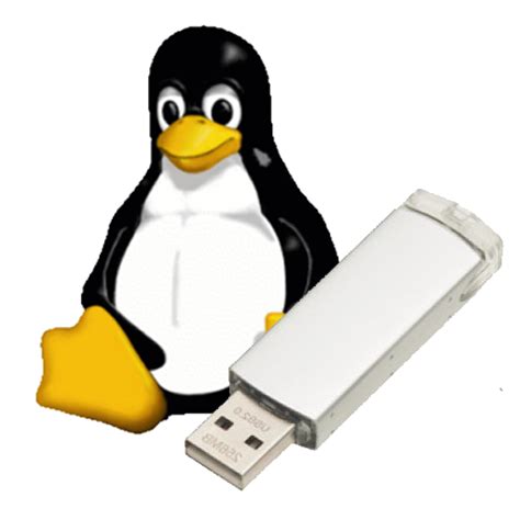 Prepare Burn USB Drive On Linux Install Linux USB Drive Instead Of CD DVD Walking In