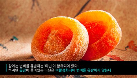 〈건강〉가을 변비의 계절 가을맞춤형 대처법 옥타미녹스