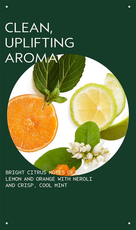 Scalp Solutions Overnight Scalp Renewal Serum Aveda