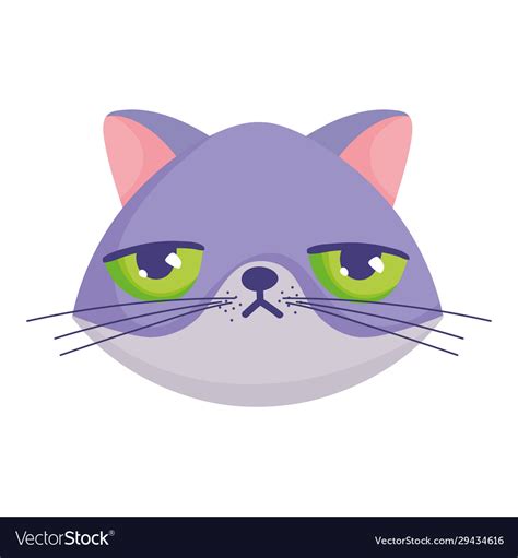 Grumpy Face Cat