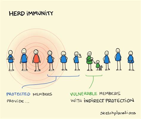 Ayman Fattah On Linkedin Herd Immunity Explained Credit