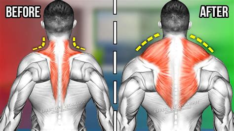 5 Best Exercises To Build Bigger Traps Youtube