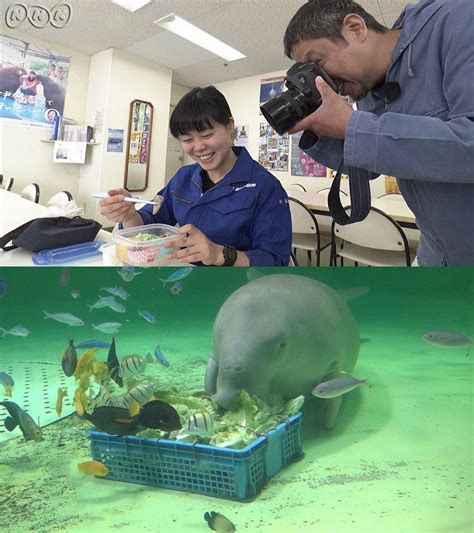 Nhk サラメシ「シーズン8 第3回」 総合 4月24日火 午後815～843