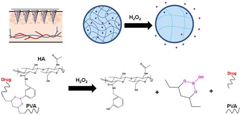Hydrogel Forming Microneedles With Applications In Oral Diseases Management