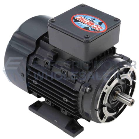Leeson Metric Iec 3 Phase Motors