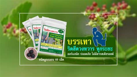 พญายอ สมุนไพรน้ำมันนวด งานจะหนักแค่ไหน ไม่หวั่น💥 💢พญายอ น้ำมันนวดสมุนไพร💢 👉ช่วยคลายกล้ามเนื้อ