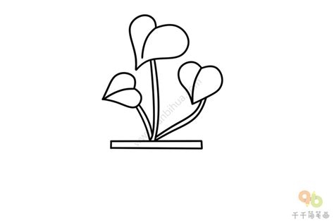 骄阳红掌简笔画图片 盆栽简笔画