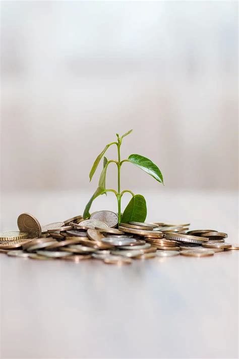 Money Finance Business Success Exchange Financial Cash Currency Bank Investment