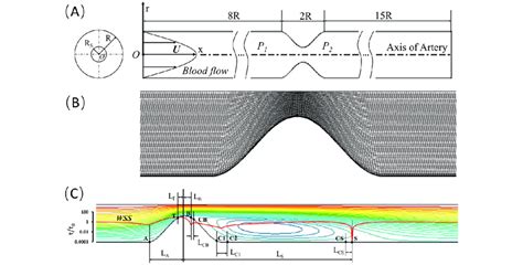 The Computational Model Building And Characteristic Parameters