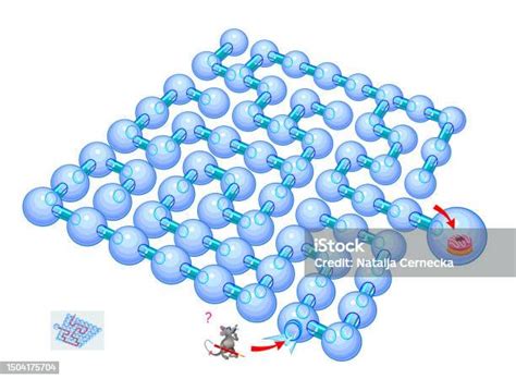 최고의 미로 마우스가 케이크로가는 길을 찾도록 도와주세요 논리 퍼즐 게임 어린이 활동 시트입니다 미로가 있는 수수께끼 책 교육 페이지 Iq 테스트 온라인 플레이 미로에 생쥐