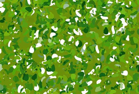 Light Green Vector Backdrop With Abstract Shapes 12635674 Vector Art At Vecteezy
