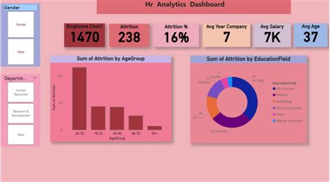Dataanalytics Powerbi Exceldashboard Womenandai