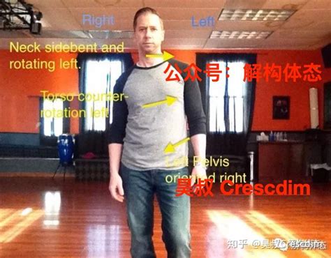 姿势恢复技术（pri Method）在骶髂关节康复中的应用（上篇） 知乎