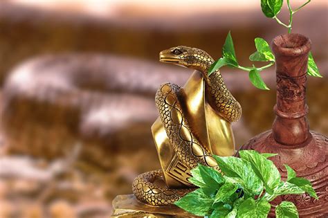 11 Most Auspicious Feng Shui Animals Hubpages