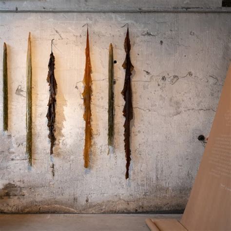 Ari Jónsson uses algae to create biodegradable water bottles