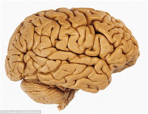 British Womans Anorexia Cured By Brain Implant Daily Mail Online