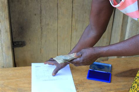 A Boost For Farmers As They Access Credits To Improve Cocoa Production
