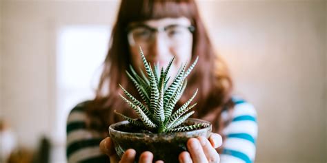 How To Take Care Of Your Indoor Plants Coco Creme
