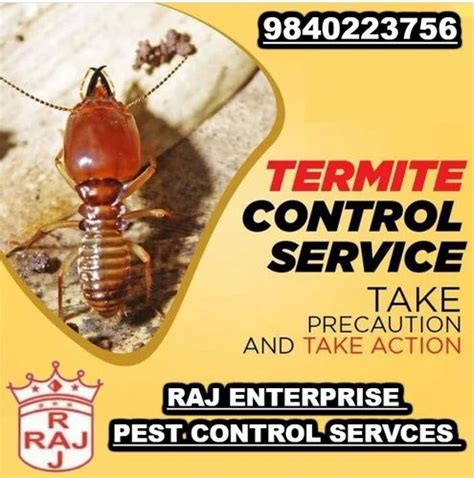 Anti Termite Treatment Pest Control Services At ₹ 5square Feet In Chennai