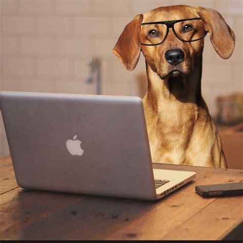 Bryce Fransen On Linkedin Brycefransen Thelendinggiant Phoenixazloanofficer