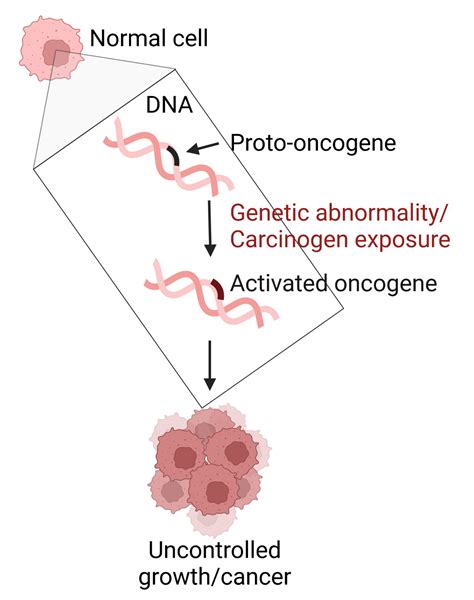 Oncogenes Driving Life In Fast Forward Mode NC DNA Day Blog