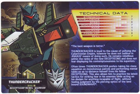 Blog 422 Toy Reviews Botcon 2013 Skywarp And Thundercracker